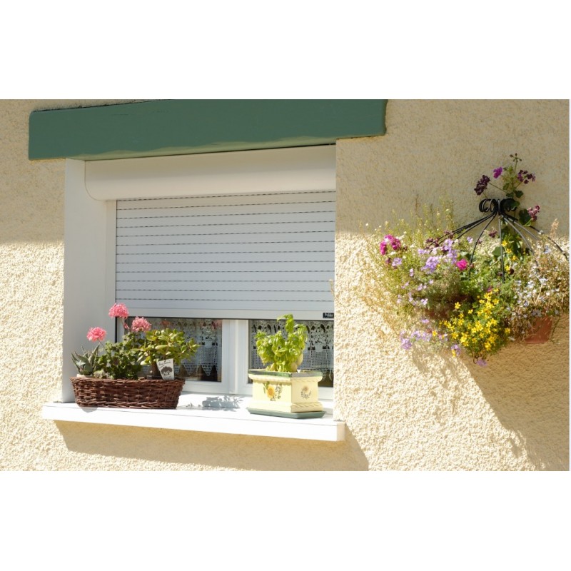 VOLET ROULANT ELECTRIQUE PROFALUX VISIO (option moustiquaire)